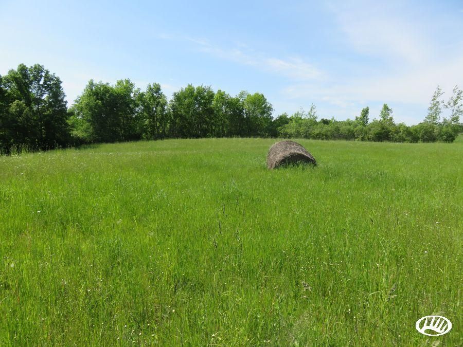 Glacier Road, Clearbrook, MN 56634 | LandWatch