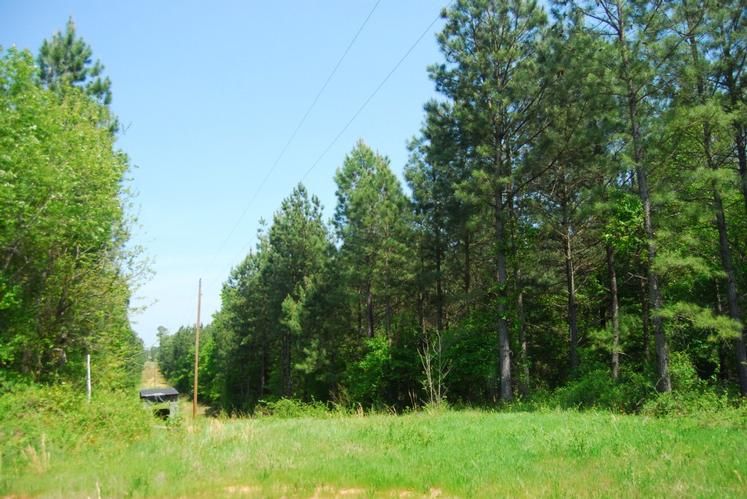 Adrienne Road, Cross Anchor, SC 29331 | LandWatch