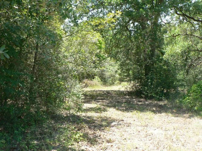 Gause, Milam County, TX Farms and Ranches for sale Property ID ...