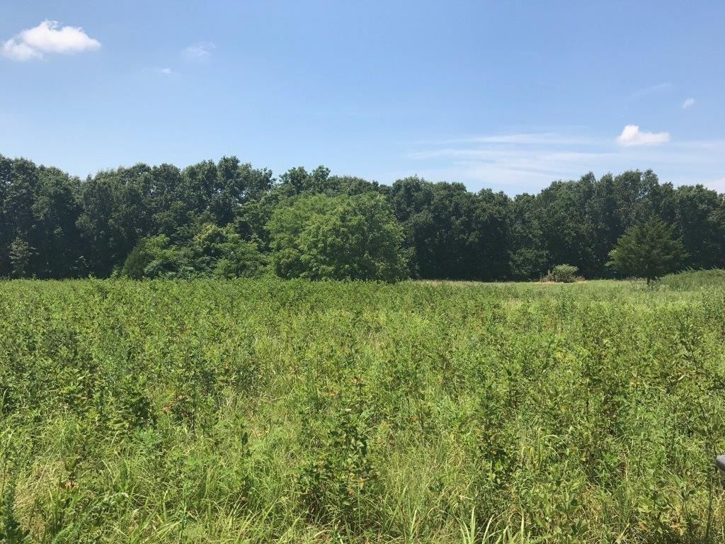 Pea Ridge, Benton County, AR for sale Property ID: 326719046 | LandWatch