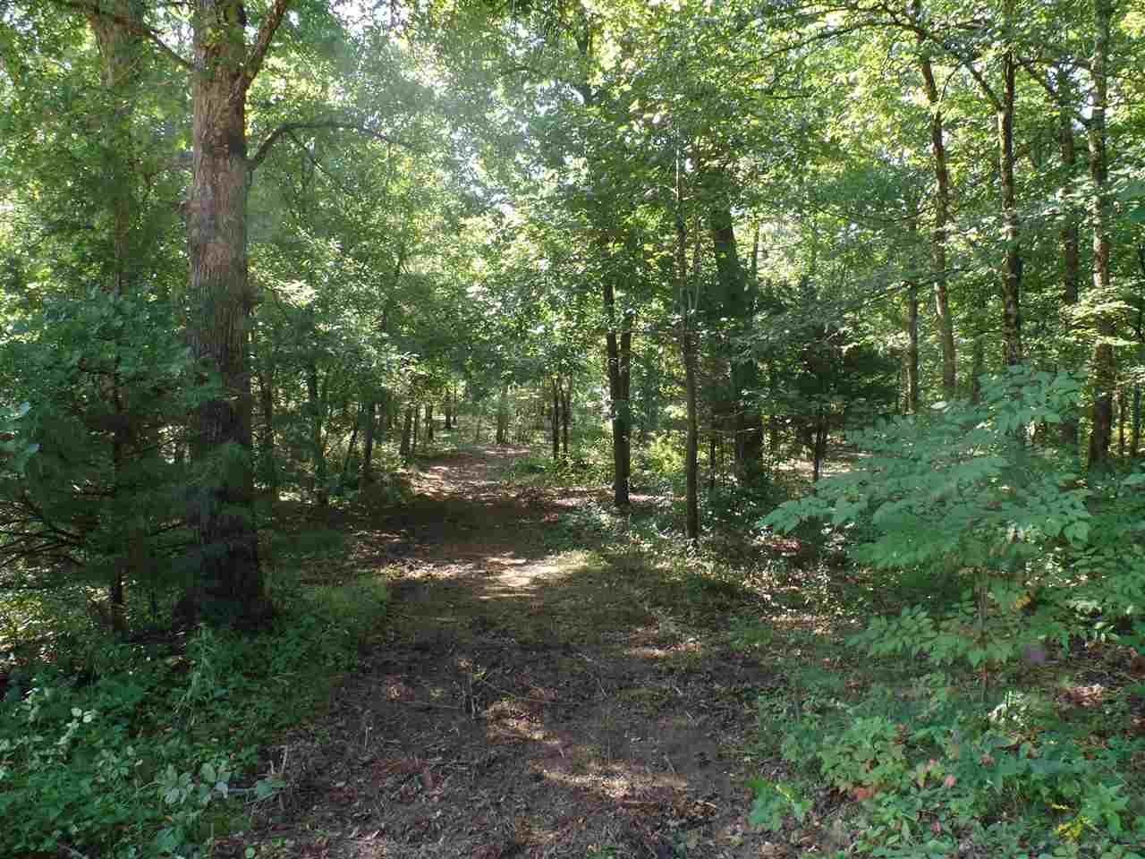 Oxly, Ripley County, MO Lakefront Property, Waterfront Property for ...