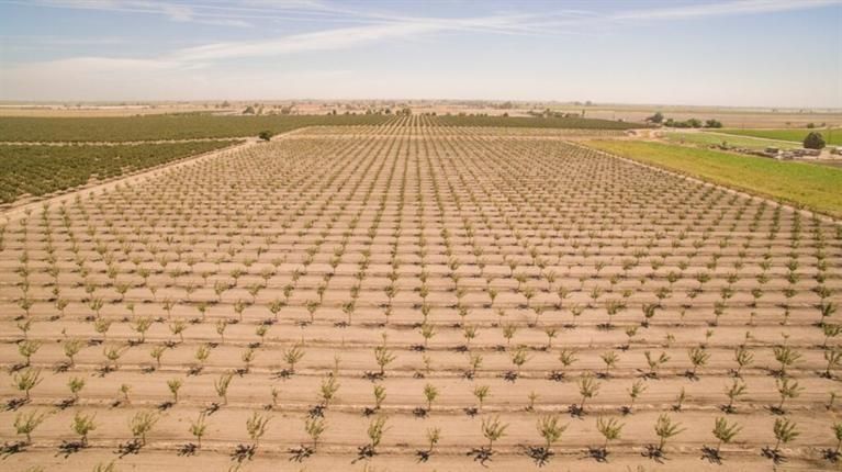 Riverdale, Fresno County, CA Farms and Ranches for sale Property ID ...