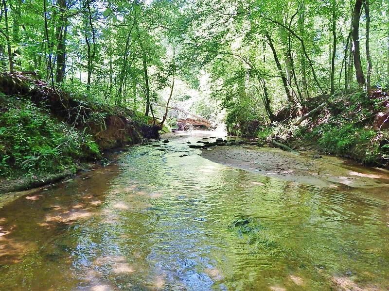 271.12 acres in Comer, GA, 30629 | LandWatch