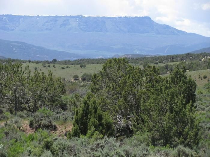 761 acres in Collbran, CO, 81624 | LandWatch