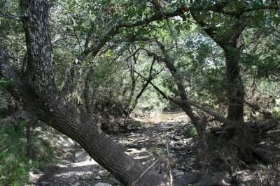 Winchell, Brown County, TX Farms and Ranches for sale Property ID ...