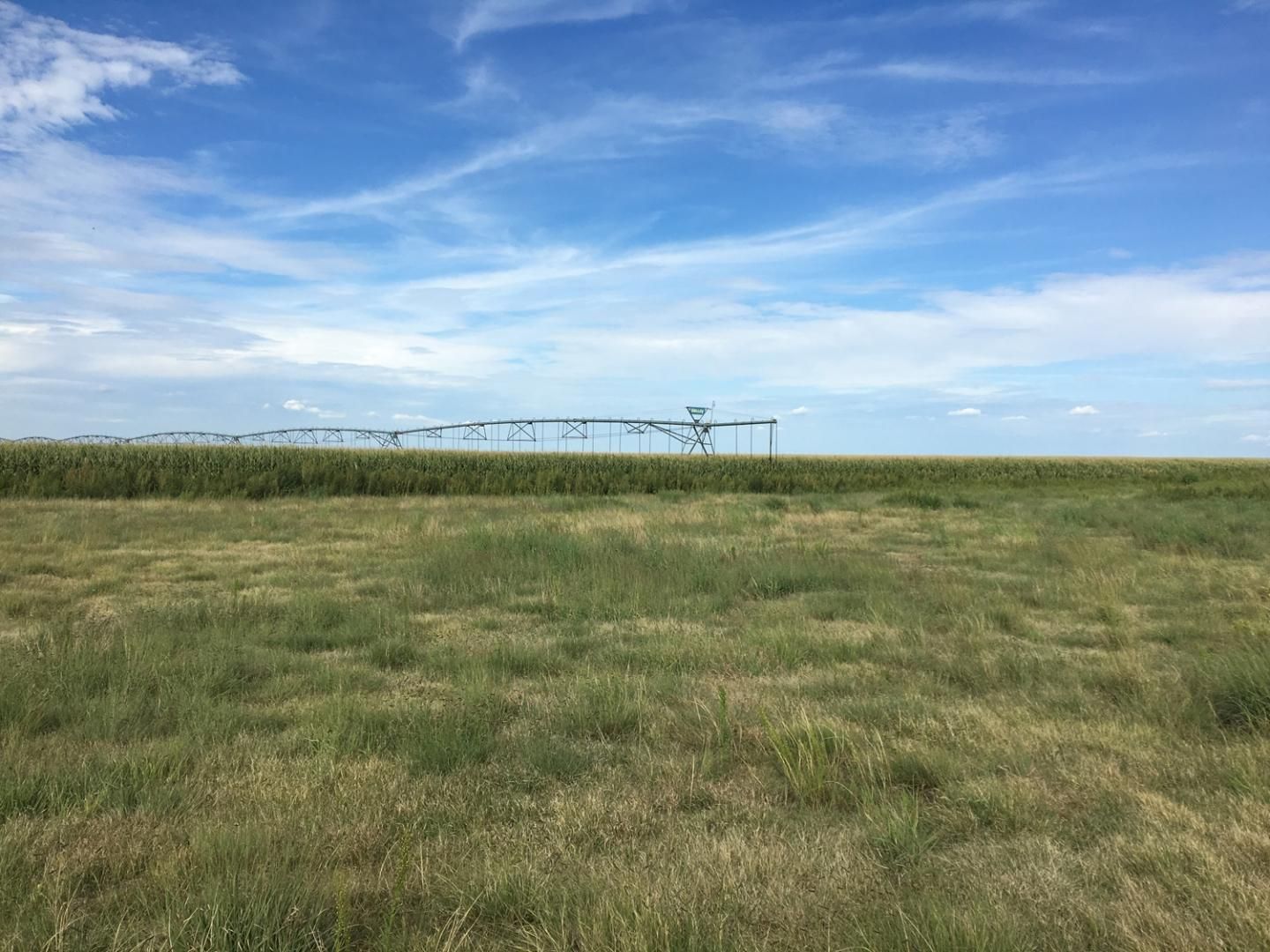 Texhoma, Texas County, OK Farms and Ranches, Undeveloped Land for ...