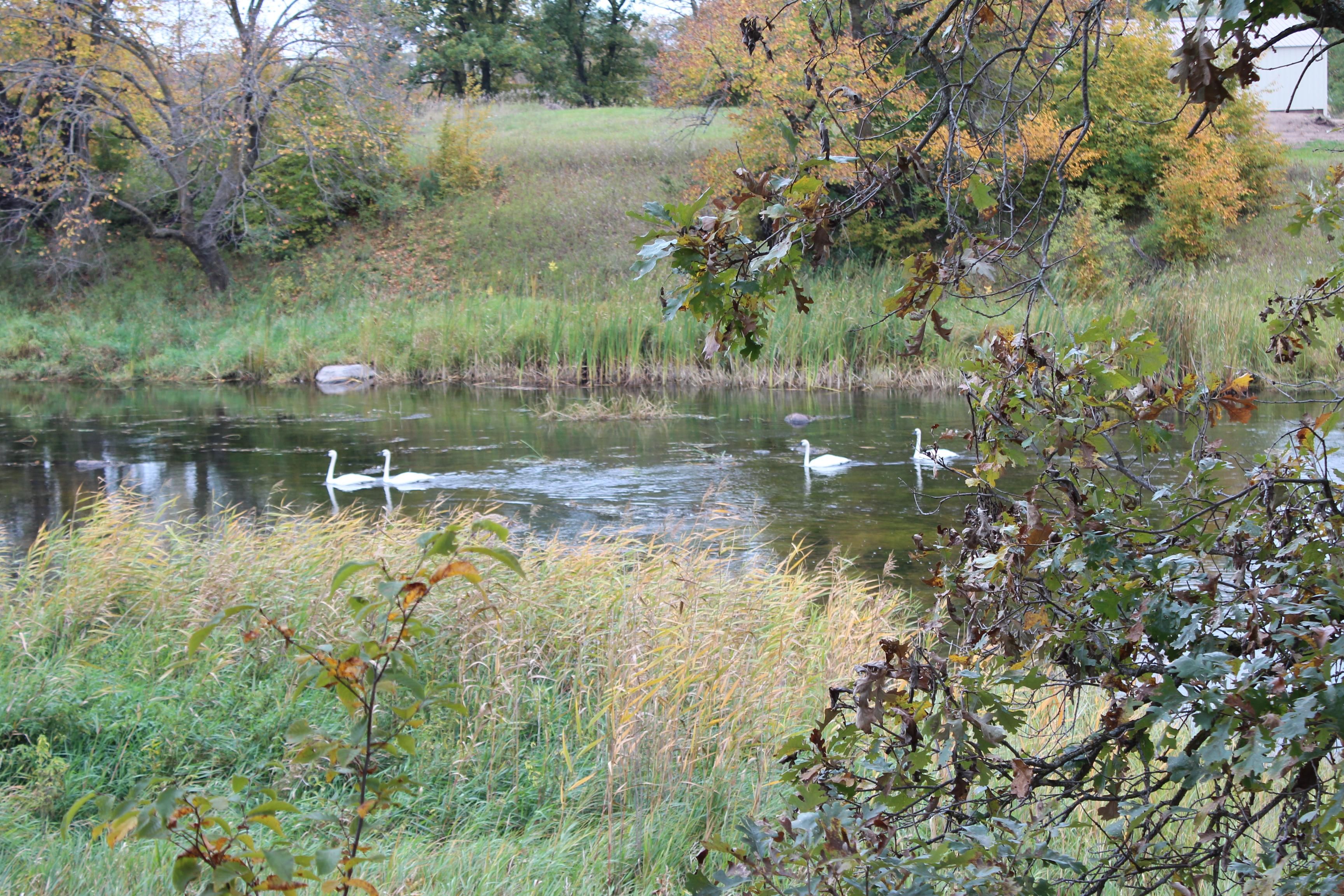 11447 CO HWY 29, Frazee, MN 56544 | LandWatch