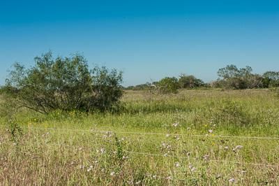 6,189.88 acres in Encino, TX, 78353 | LandWatch