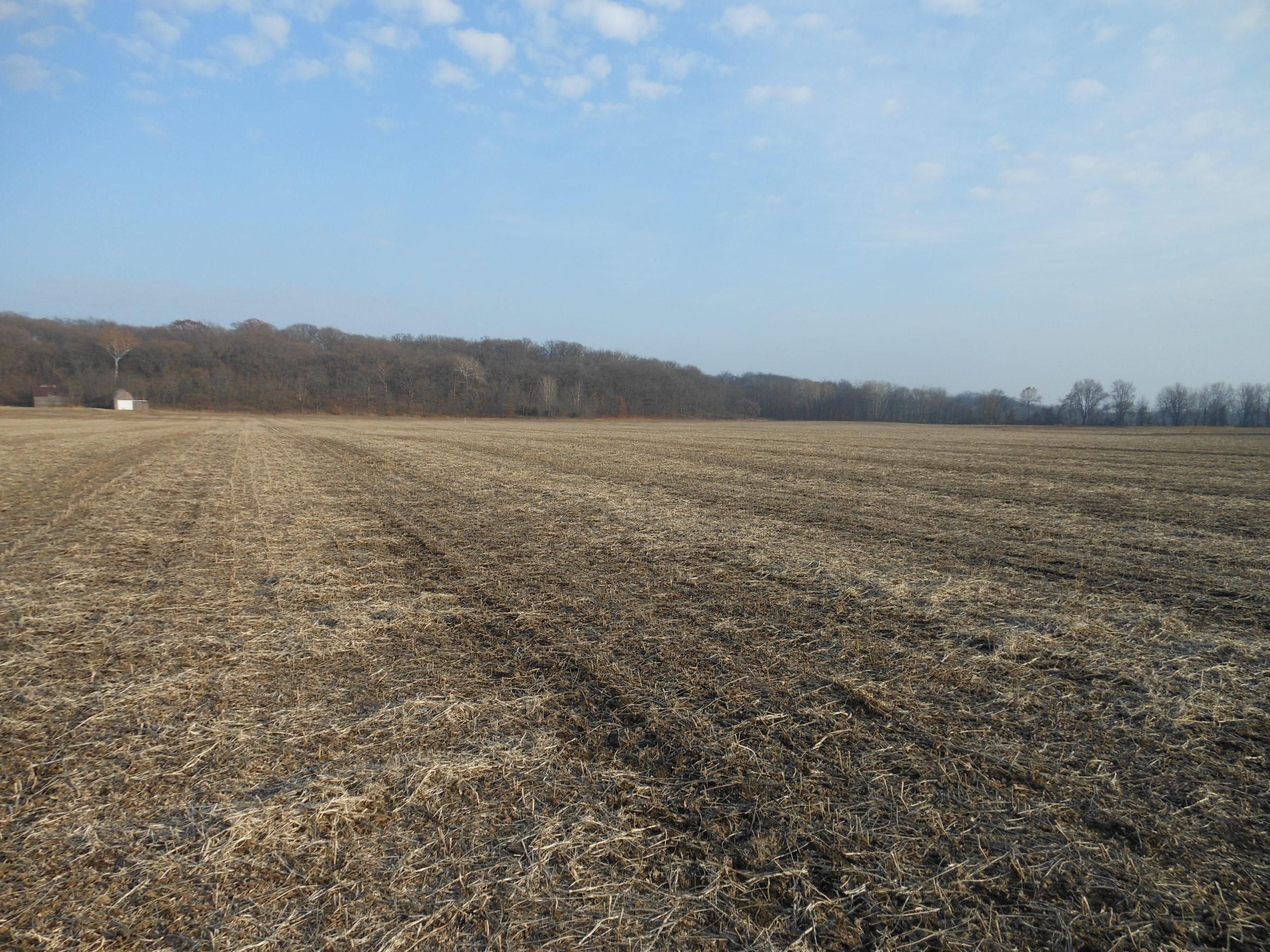139 acres in Wayland, IA, 52654 | LandWatch