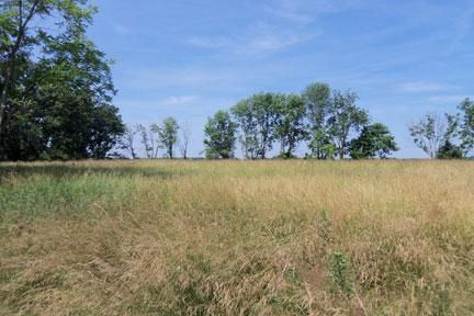 Hettick, Macoupin County, IL Farms and Ranches for sale Property ID ...