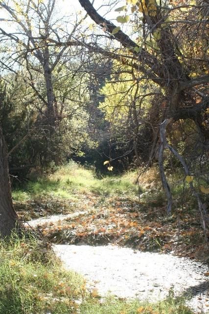 3047 FM 97, Flomot, TX 79234 | LandWatch