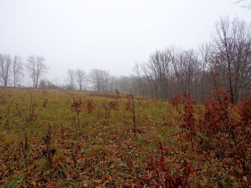 47.5 acres in Timewell, IL, 62375 | LandWatch