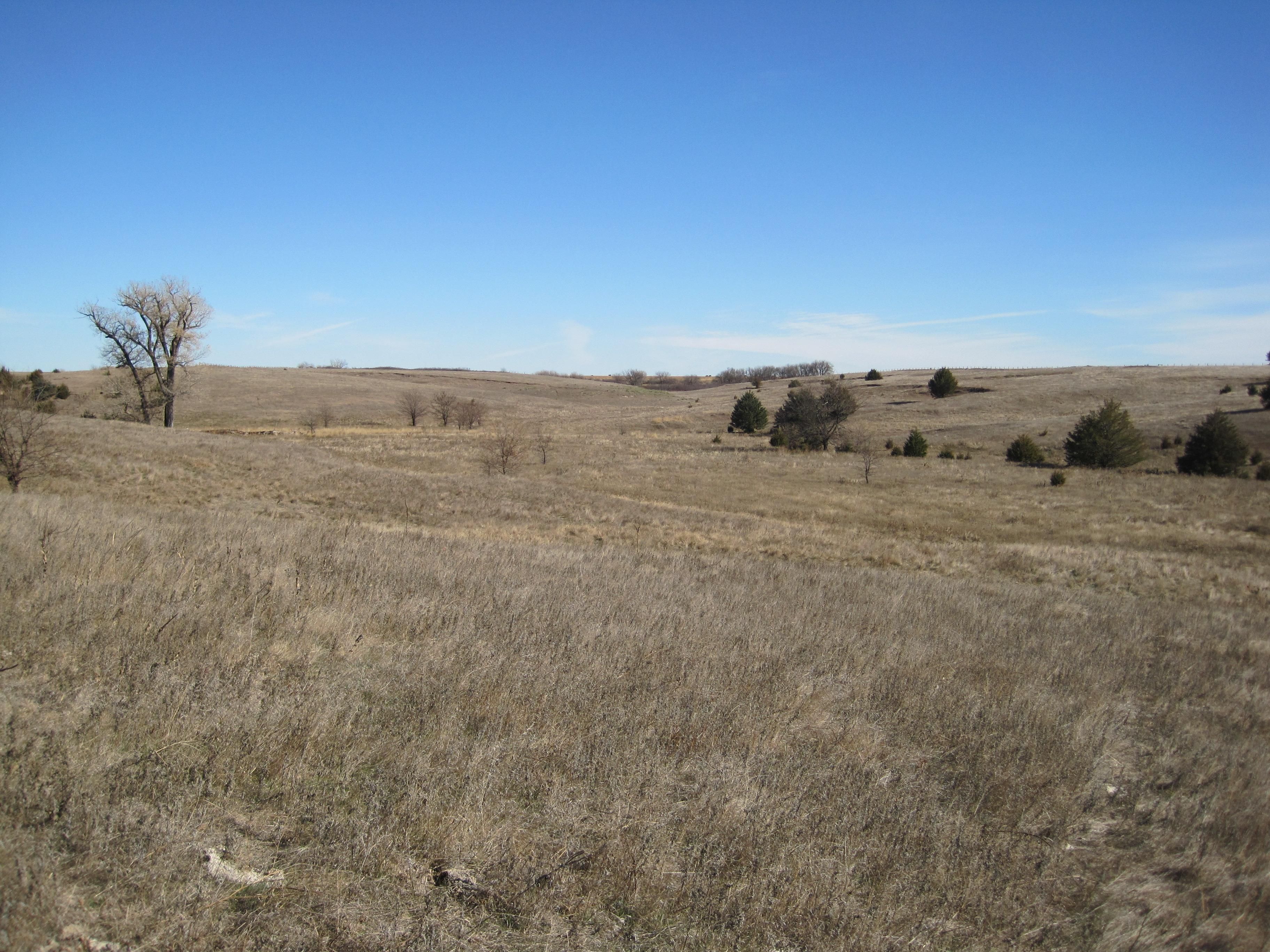 160.22 acres in Naponee, NE, 68960 | LandWatch