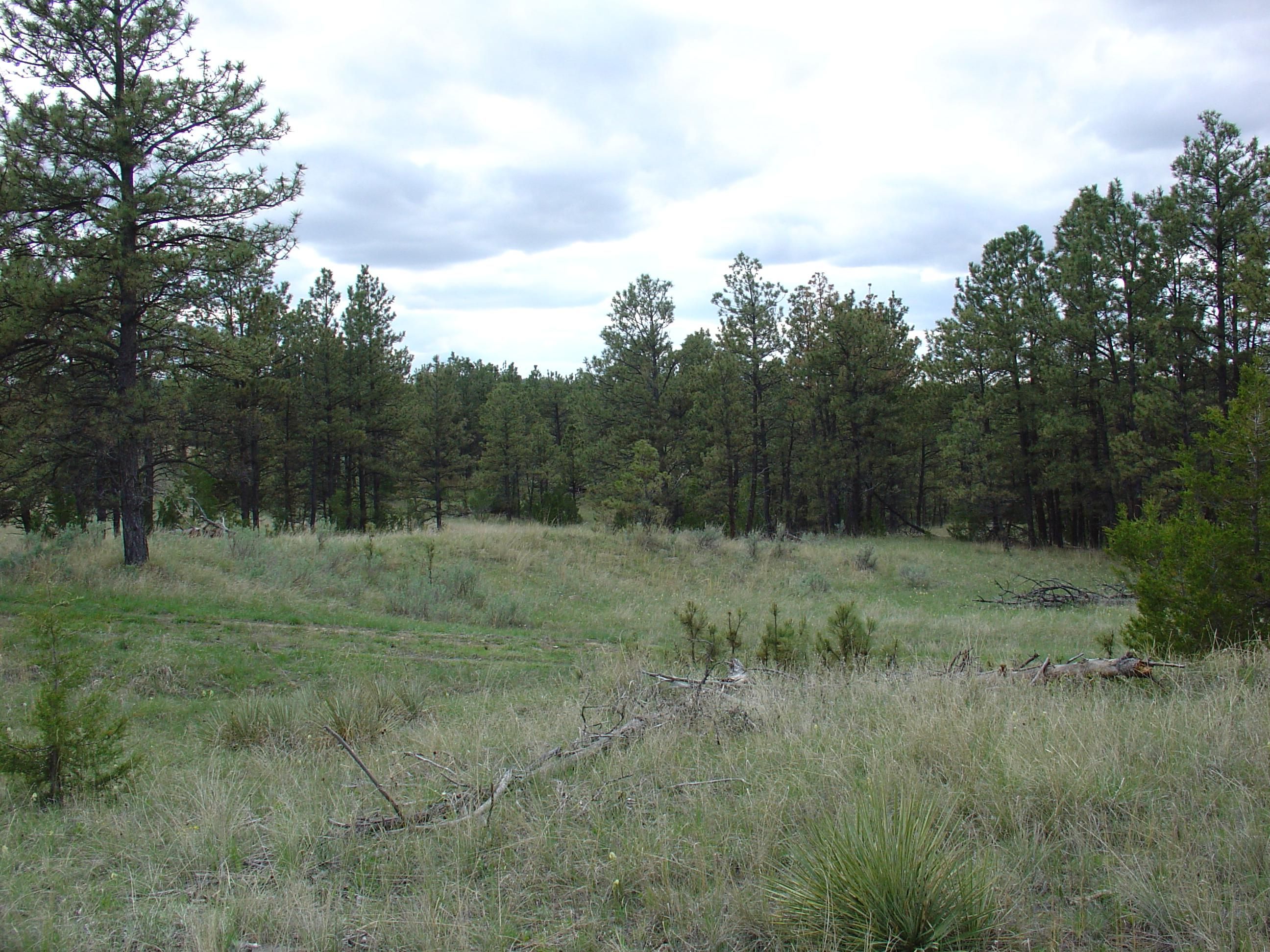 Old Stage Road, Mosby, MT 59058 | LandWatch