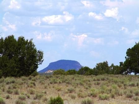 Quemado, Catron County, NM Farms and Ranches for sale Property ID ...