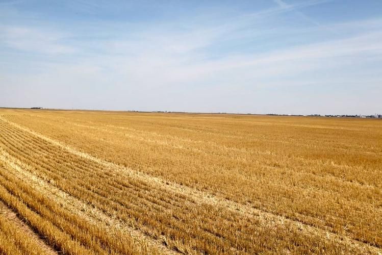 480 acres in Otis, CO, 80743 | LandWatch