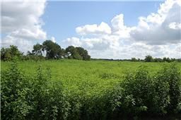 Egypt, Wharton County, TX Farms and Ranches, Homesites for sale ...