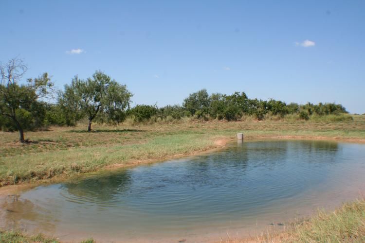 85 acres in San Isidro, TX, 78588 | LandWatch