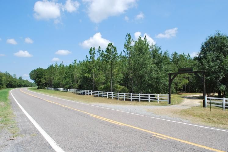 963 acres in Newington, GA, 30446 | LandWatch