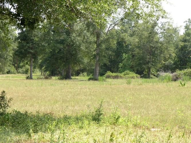 1687 County Road 4530, Spurger, TX 77660 | LandWatch