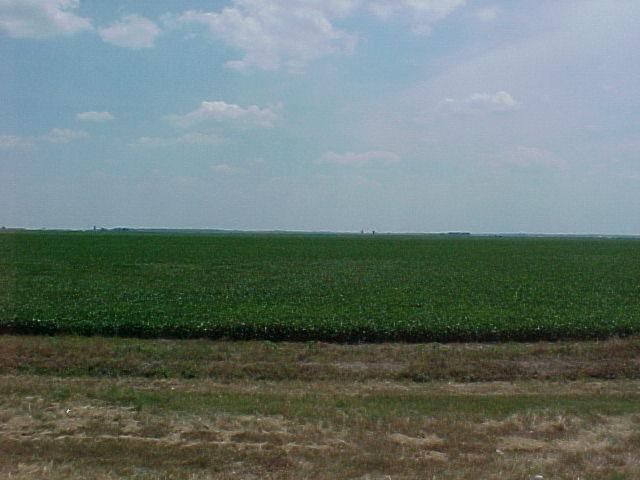 State Highways 1 and 446, Benoit, MS 38726 | LandWatch