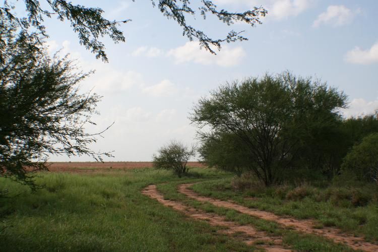 53 acres in McCook, TX, 78541 | LandWatch