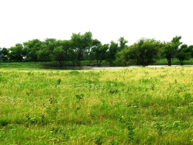 Slidell, Wise County, TX Farms and Ranches for sale Property ID ...