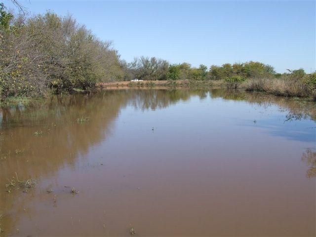 115 acres in Bellevue, TX, | LandWatch