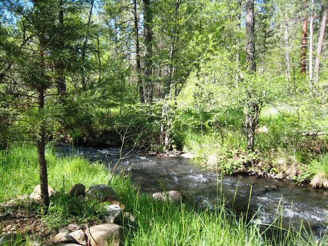 Whitmore, Shasta County, CA Farms and Ranches, House for sale Property ...