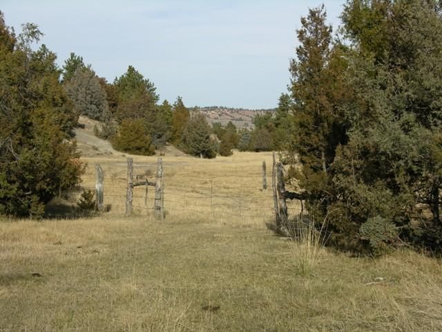 Biddle, Powder River County, MT Farms and Ranches for sale Property ID ...