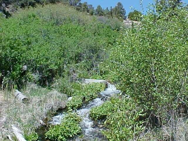 Ely, White Pine County, NV Farms and Ranches for sale Property ID ...