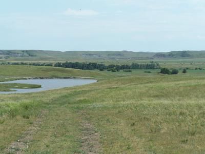 1,500 acres in Flasher, ND, | LandWatch