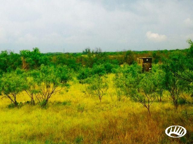 FM 1026, Gouldbusk, TX 76845 | LandWatch