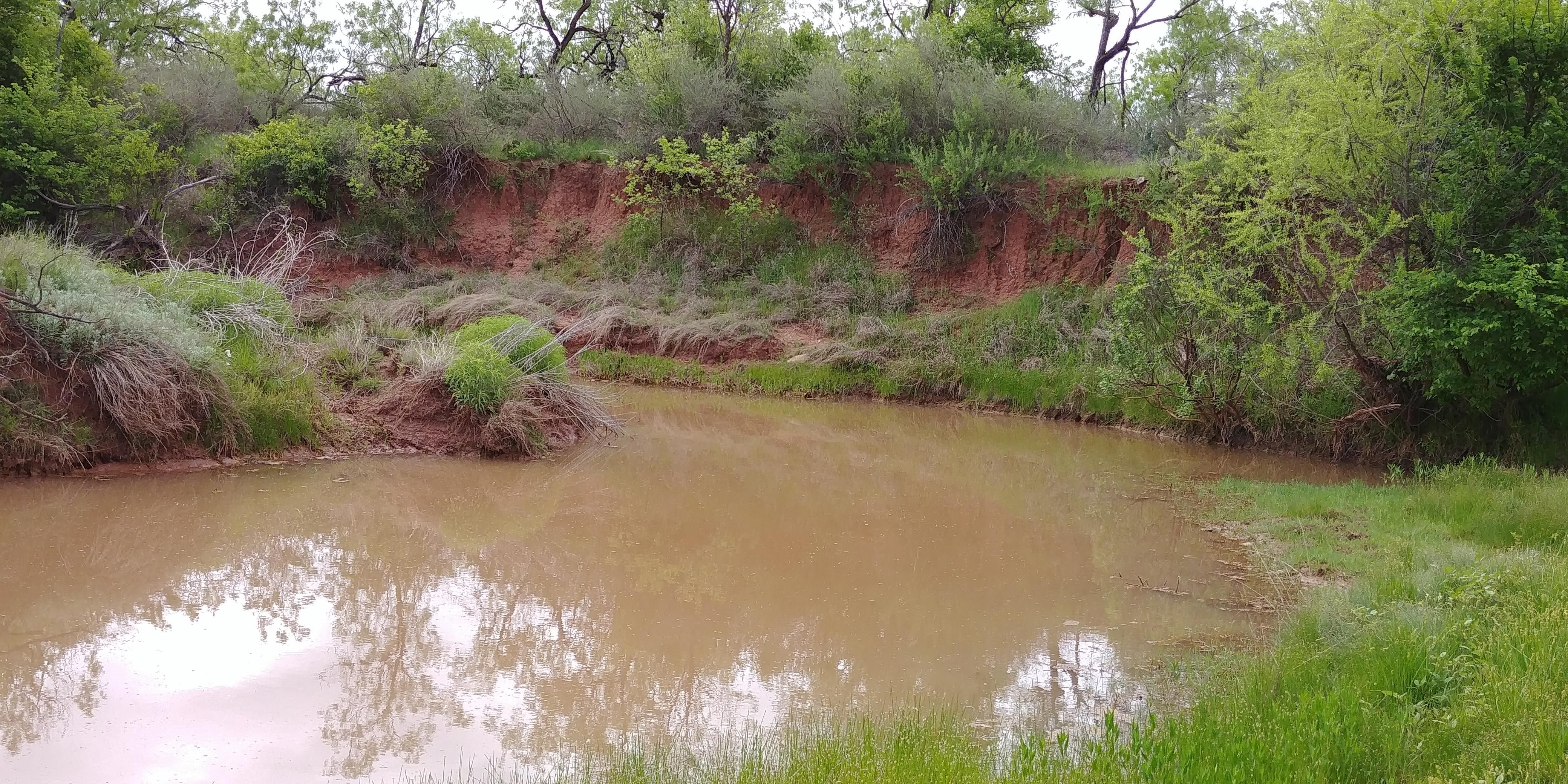 124 acres in Bronte, TX, 76933 | MLS: 92643 | LandWatch