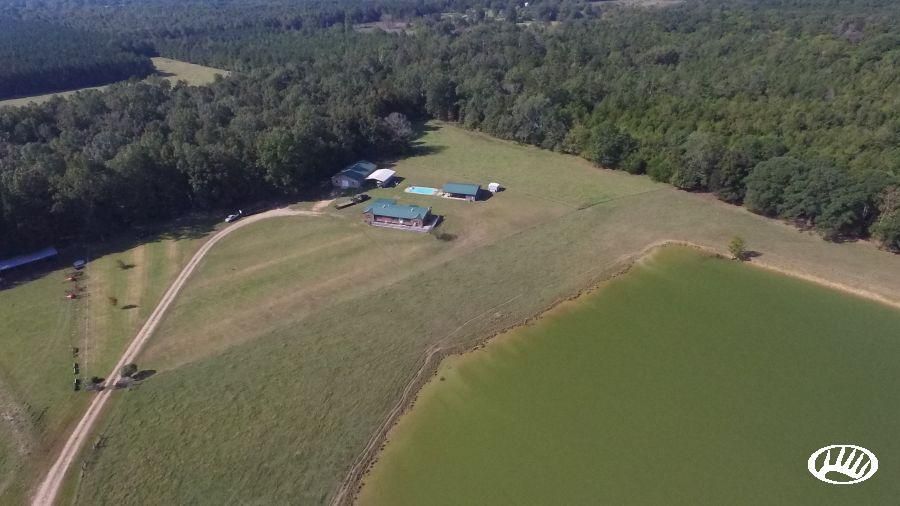 8291 County Road 189, Marion Junction, AL 36759 | LandWatch