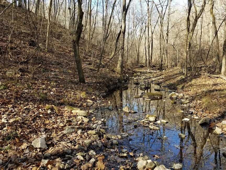 TBD, Dora, MO 65637 | LandWatch