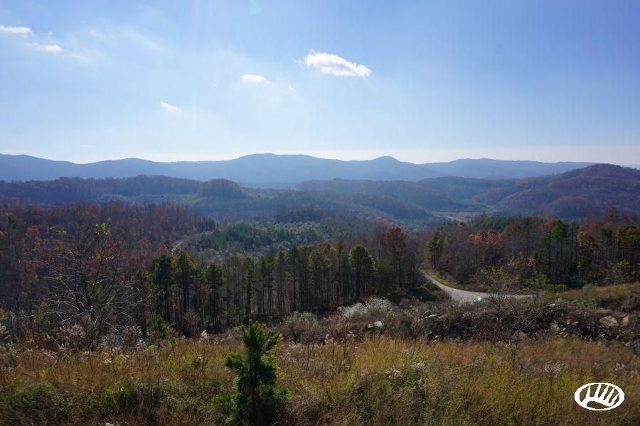 Rural Route, Duff, TN 37729 | LandWatch