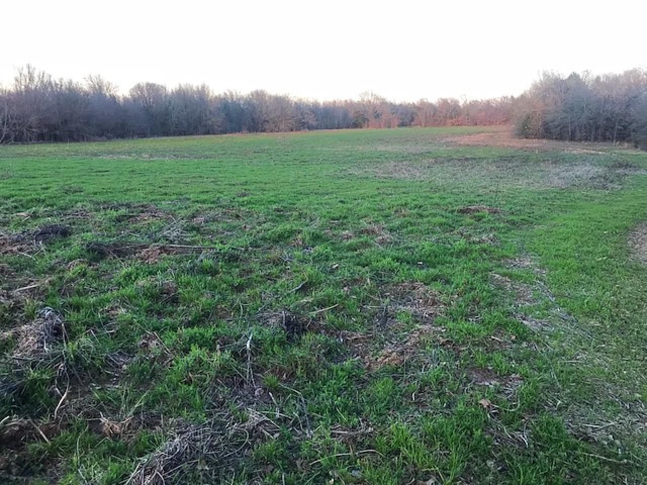 14240 CR 2917, Eustace, TX 75124 | LandWatch