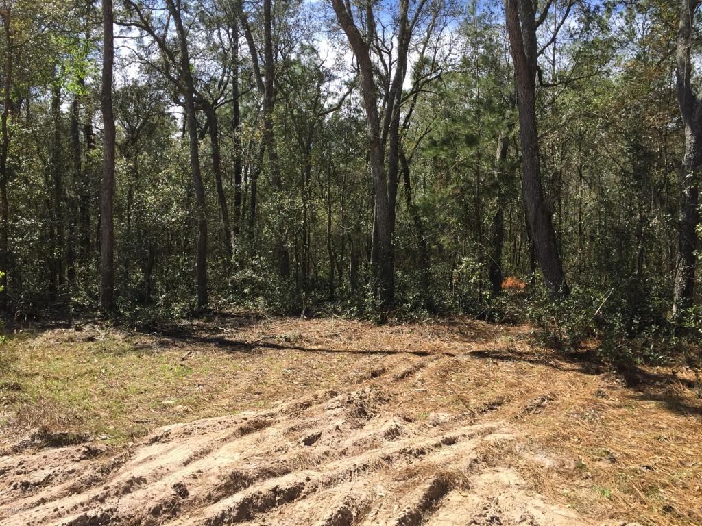 Interlachen, Putnam County, FL Undeveloped Land for sale Property ID: 330634443 | LandWatch