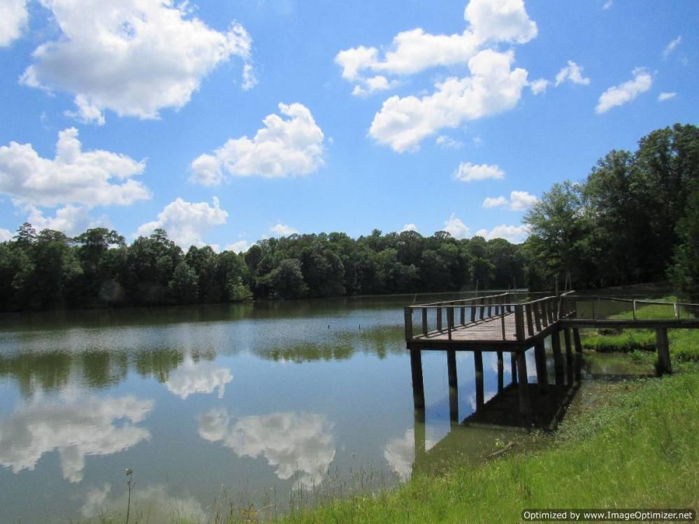 MS Hwy 430, Black Hawk, MS 38923 | LandWatch