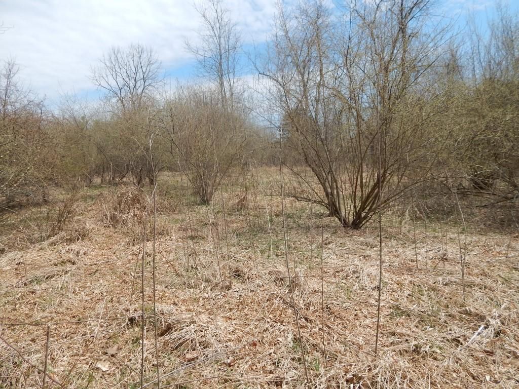 Dewey Ridge Road, Walker, WV 26180 | MLS: 3992245 | LandWatch