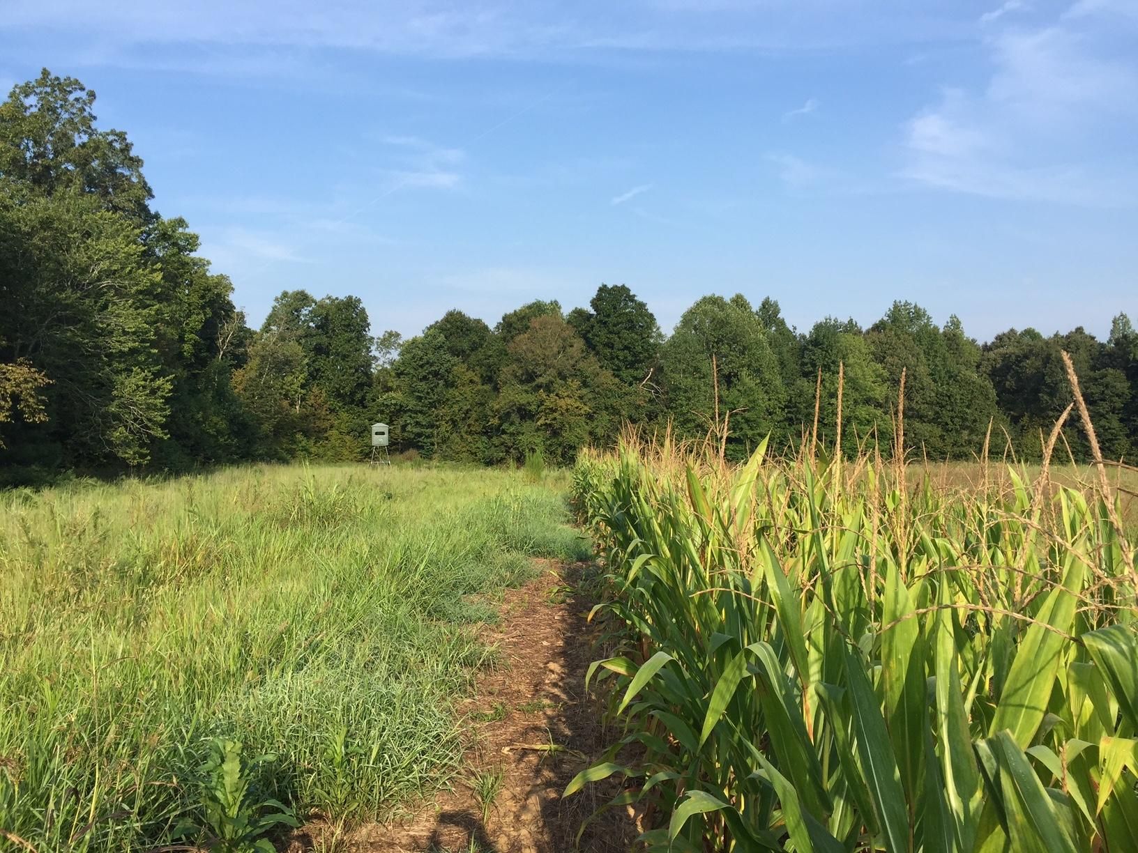 102 acres in Medon, TN, 38356 | MLS: 10026492 | LandWatch