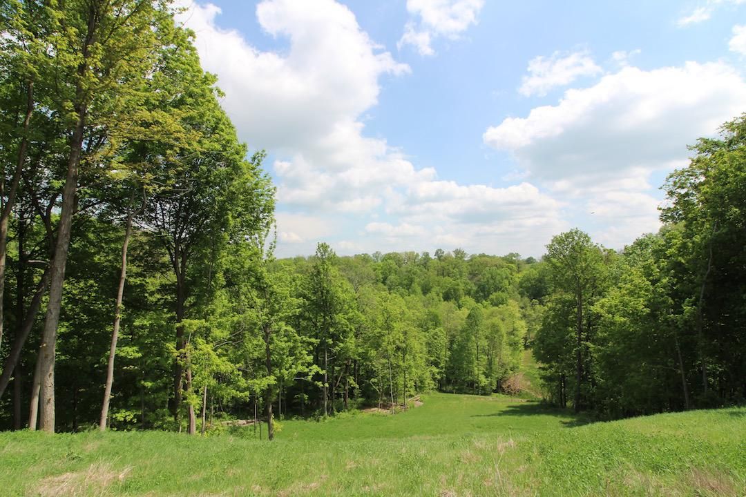Jacobsburg, Belmont County, OH Recreational Property, Timberland ...