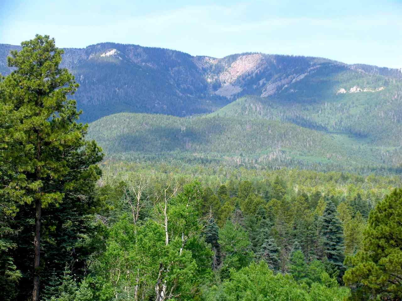 Mora, Mora County, NM House for sale Property ID: 332180517 | LandWatch