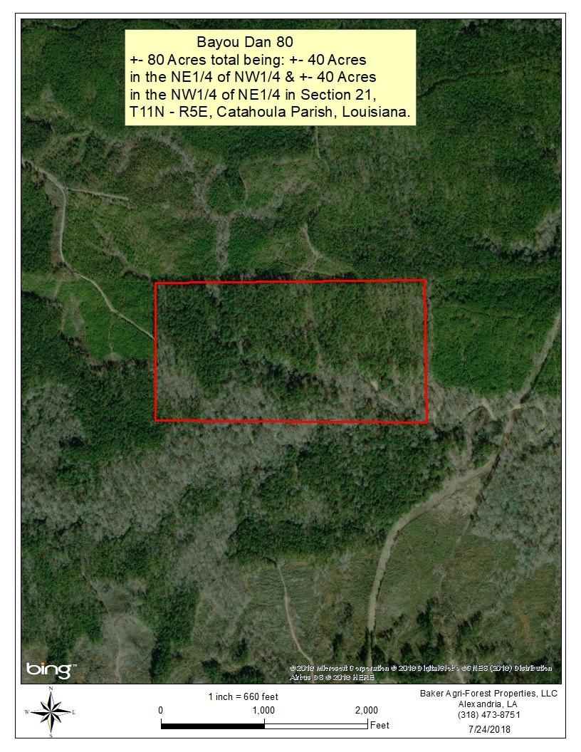 80 acres in Grayson, LA, 71435 | LandWatch