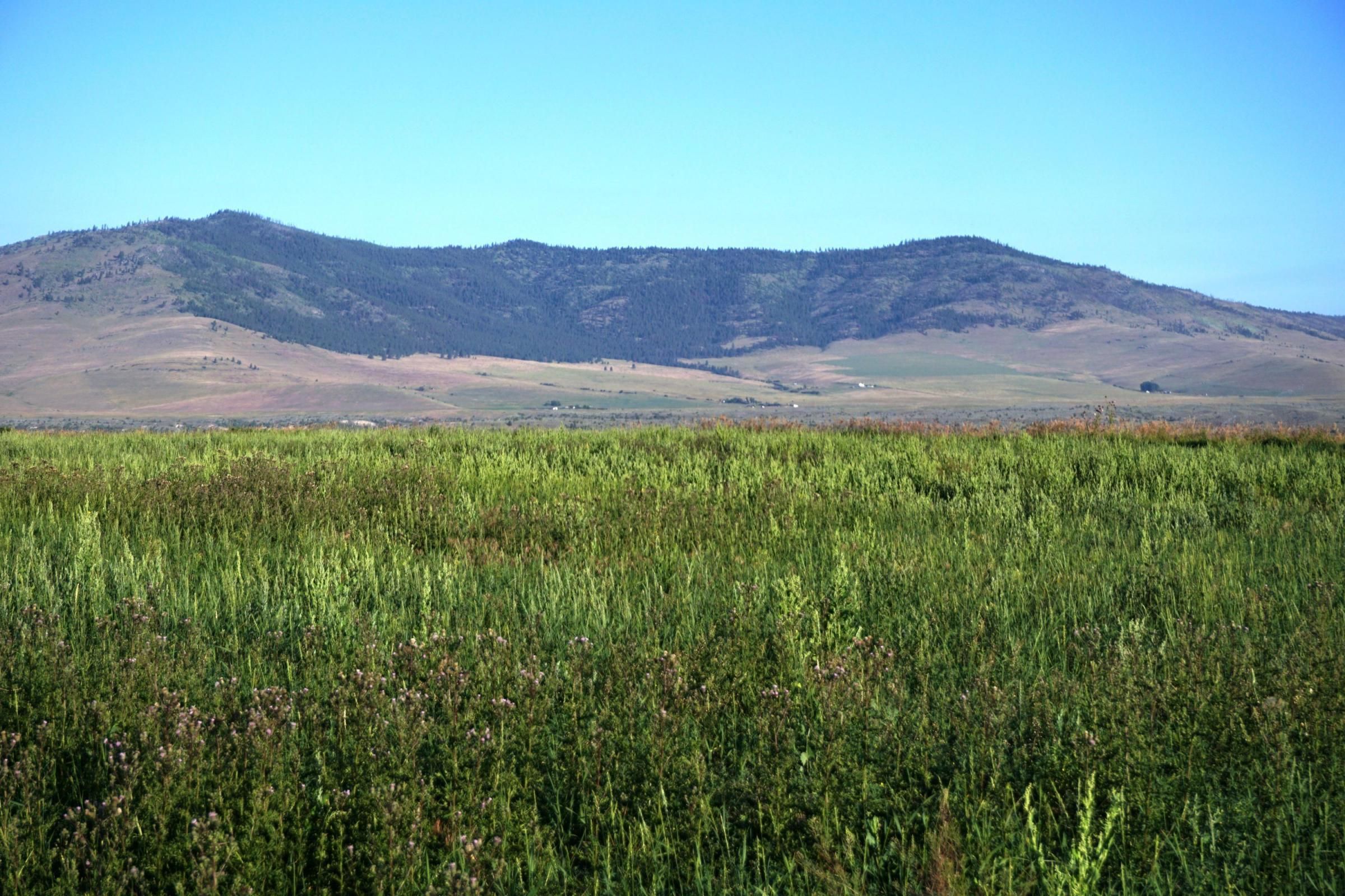 Buffalo Bridge Road, Polson, MT 59860 | MLS: 21813645 | LandWatch