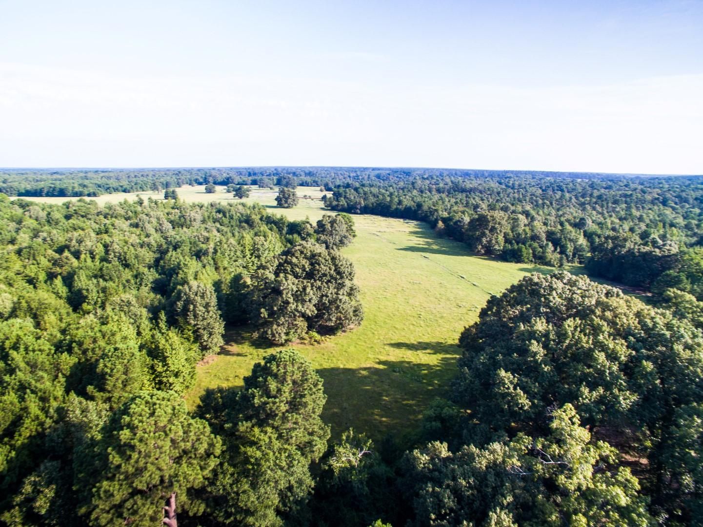 205 acres in Redwater, TX, 75573 | LandWatch
