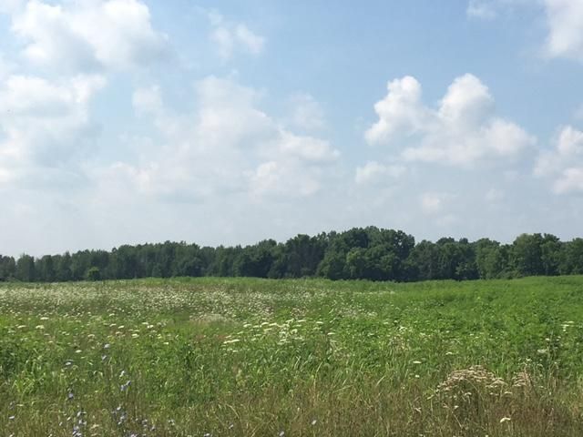 State Route 56, Laurelville, OH 43135 | LandWatch