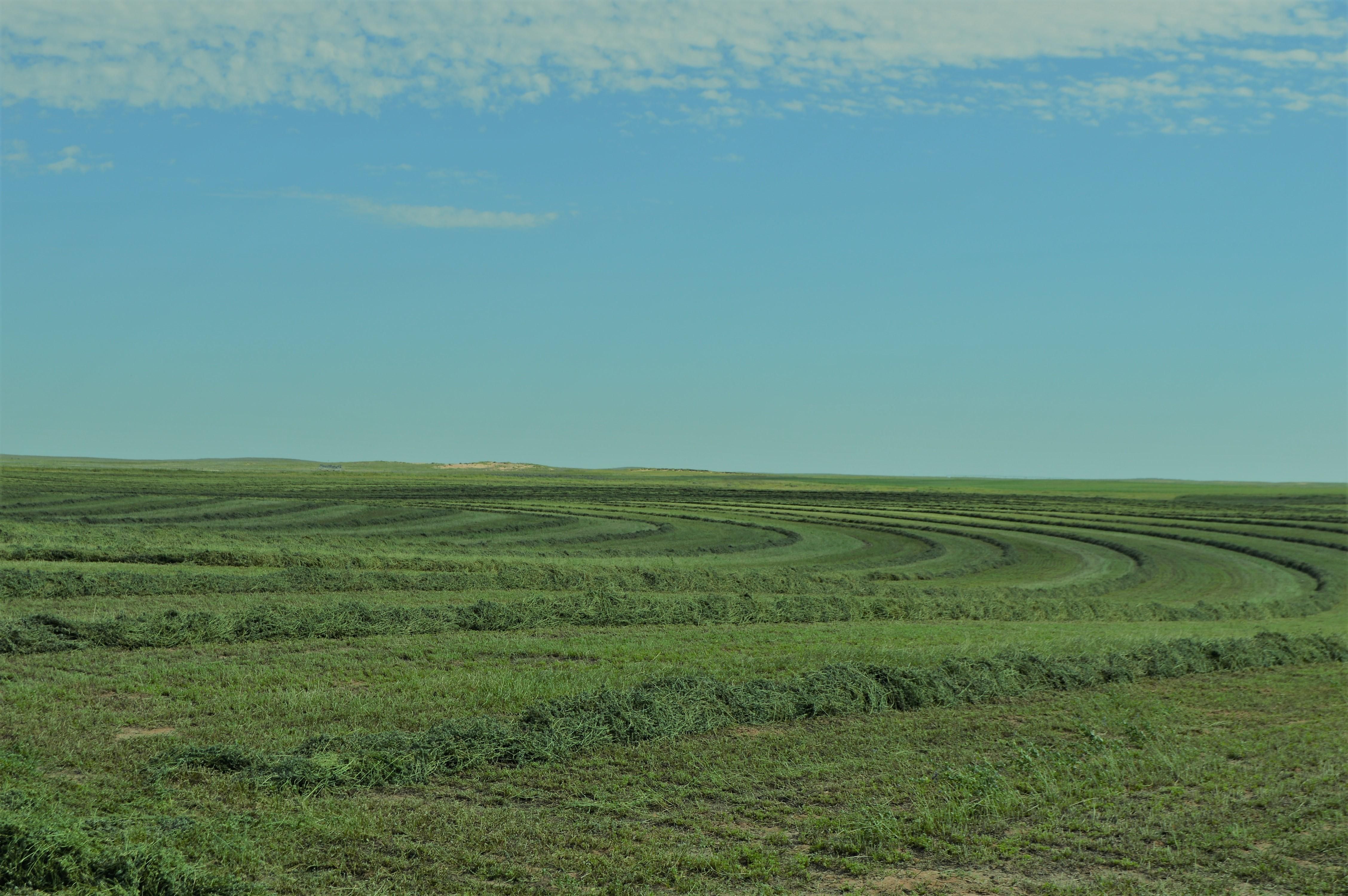 7,334 acres in Keyes, OK, 73947 | LandWatch