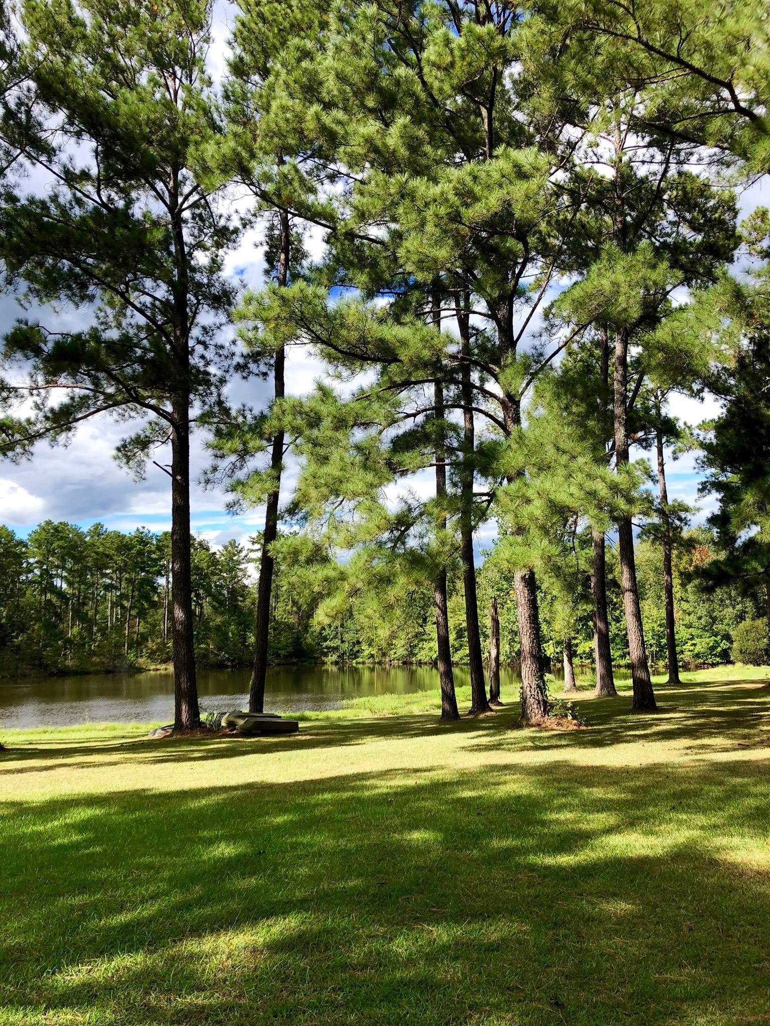 50 acres in Macon, GA, 31210 | LandWatch